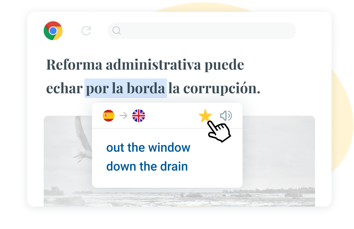 Reverso | Free online translation, dictionary